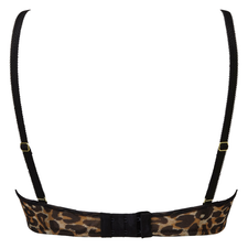 Sheer Animal Print Bra Fashion Gossard Glossies 13101 — Lavinia Lingerie